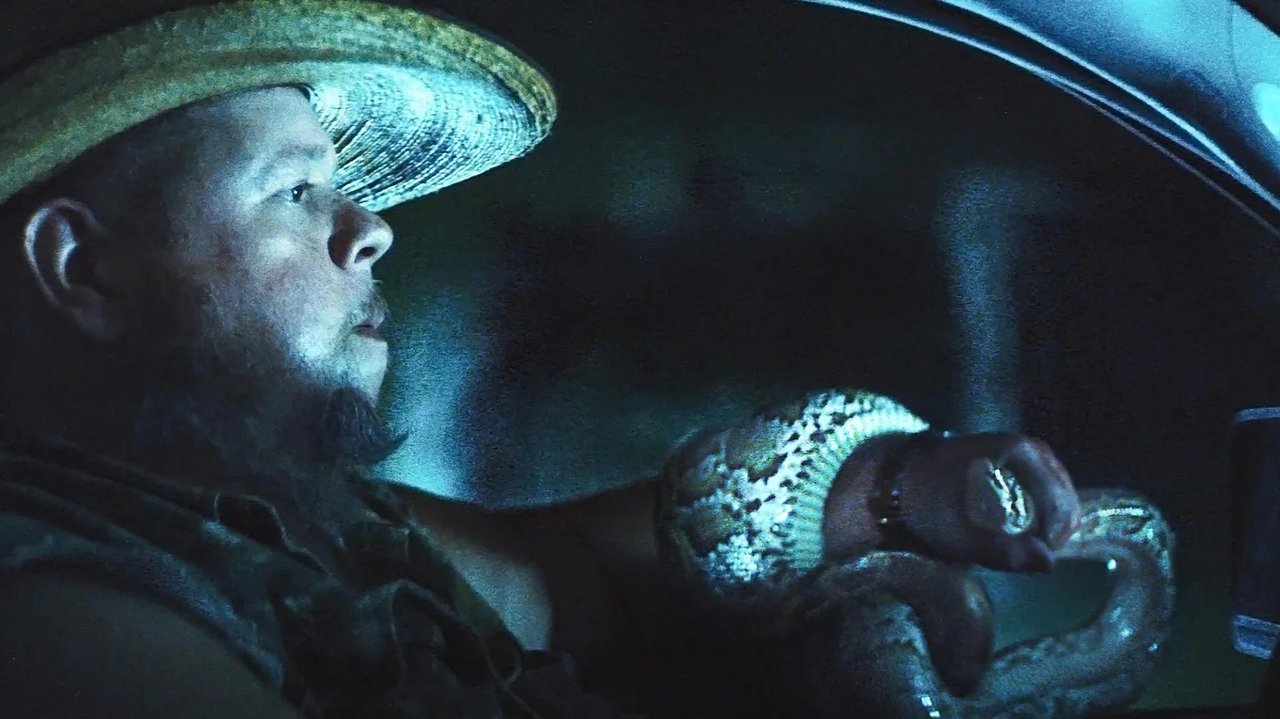 The Python Hunt 2025 Flixtor